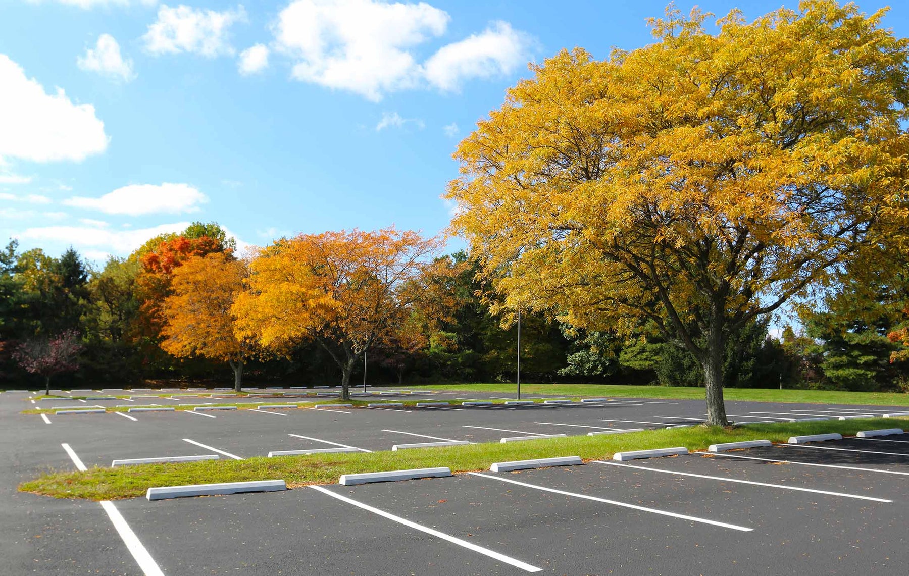 Butoir de stationnement en béton préfabriqué – Patio Drummond
